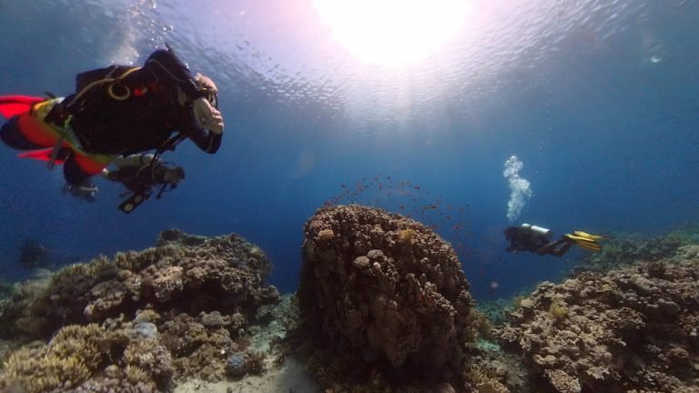 Scuba Diving in Sharm el-Sheikh, Egypt | Backpacker Travel